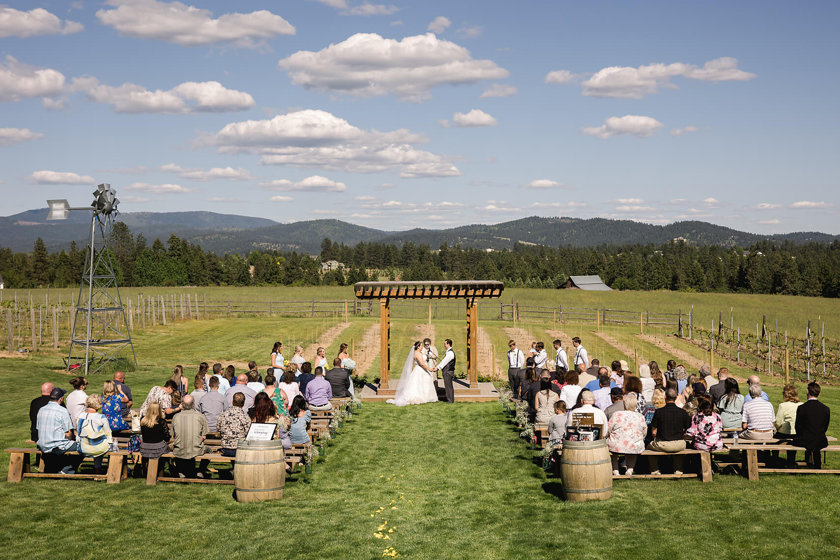 Vineyard Views at the Trezzi Farm Winery Wedding Venue!