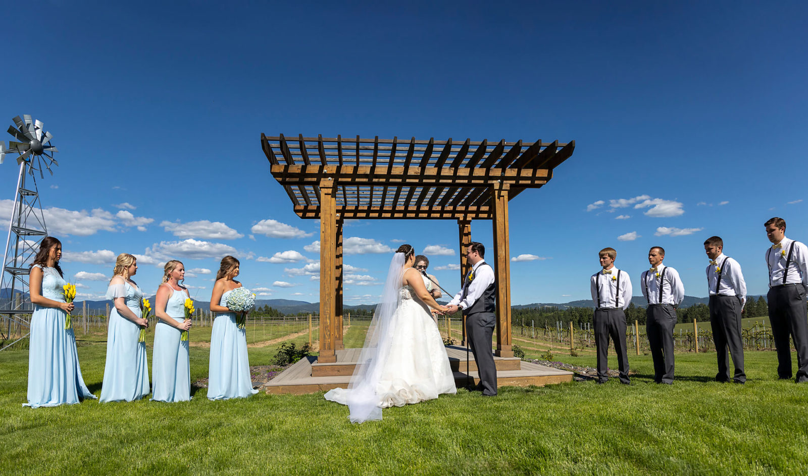 Vineyard Views at the Trezzi Farm Winery Wedding Venue!